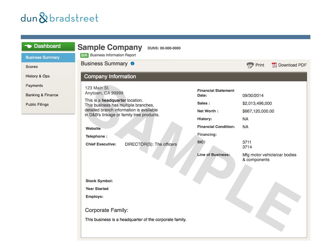 Dun & Bradstreet – BusinessInformationReport-New